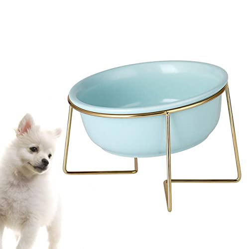 Balacoo 2pcs Container for Kitten Ceramic Pets Stress Care- Dog Gold Cervical Dispenser Iron Blue Dish Stand Use Slant Tilted Pet Dishes with Titled Puppy High Food Eating Free