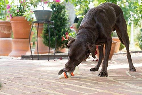 PetSafe 2 Pack of Sportsmen Bristle Bones, Medium, Dental Chew Toys for Dogs