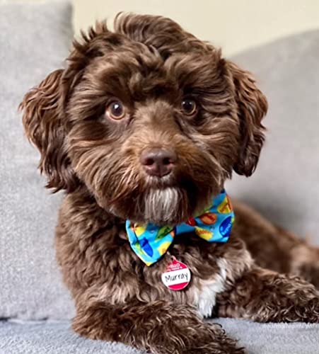 H&K Bow Tie for Pets | Party Time Blue (Extra-Large) | Birthday Velcro Bow Tie Collar Attachment | Fun Bow Ties for Dogs & Cats | Cute, Comfortable, and Durable | Huxley & Kent Bow Tie