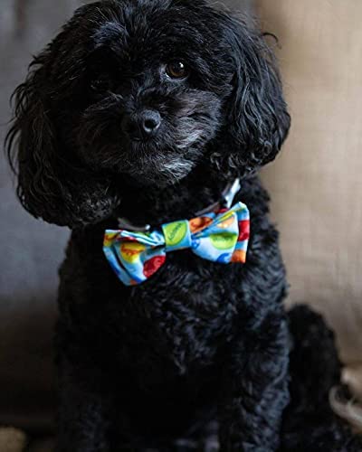 H&K Bow Tie for Pets | Party Time Blue (Extra-Large) | Birthday Velcro Bow Tie Collar Attachment | Fun Bow Ties for Dogs & Cats | Cute, Comfortable, and Durable | Huxley & Kent Bow Tie