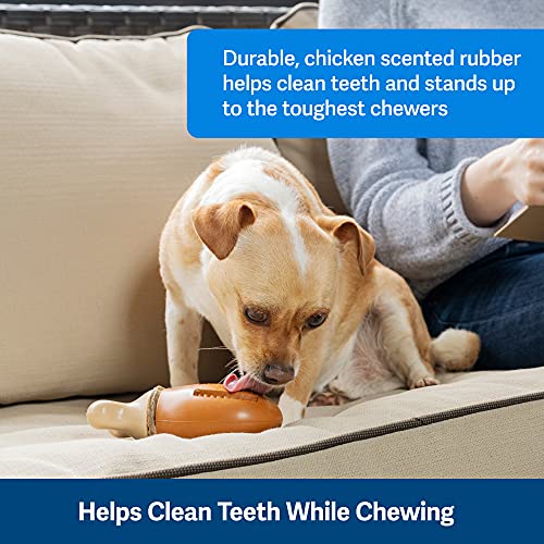 PetSafe Busy Buddy Chompin' Chicken Dog Toys – Treat Ring Holding Chew Toy – BPA Free Rubber – Chicken Scented – Interactive Pet Puzzle for Boredom or Separation Anxiety – Small to Large Dogs