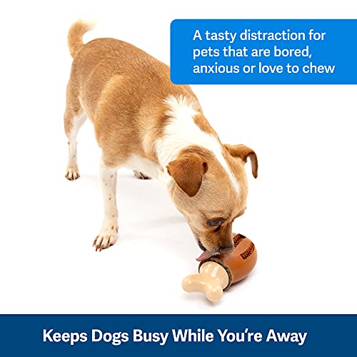 PetSafe Busy Buddy Chompin' Chicken Dog Toys – Treat Ring Holding Chew Toy – BPA Free Rubber – Chicken Scented – Interactive Pet Puzzle for Boredom or Separation Anxiety – Small to Large Dogs