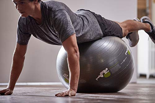 Gaiam Restore Self-Guided Stability Ball, 65cm