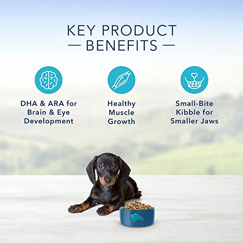 Blue Buffalo Life Protection Formula Natural Puppy Small Breed Dry Dog Food, Chicken and Oatmeal 5-lb Trial Size Bag