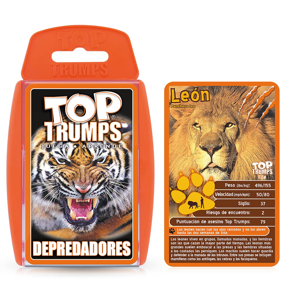 Top Trumps La Vuelta al Mundo/Around The World/Spanish Pack, WM02549-SPA-6
