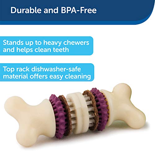 PetSafe Busy Buddy Bristle Bone - Treat-Holding Toy for Dogs - Treat Rings Included - Treats Thoroughly Mixed During Bake to Prevent Choking - Rigorously Tested Ingredients - Purple, Medium