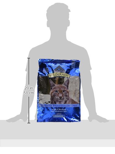 Blue Buffalo Wilderness High Protein, Natural Adult Indoor Dry Cat Food, Chicken 11-lb