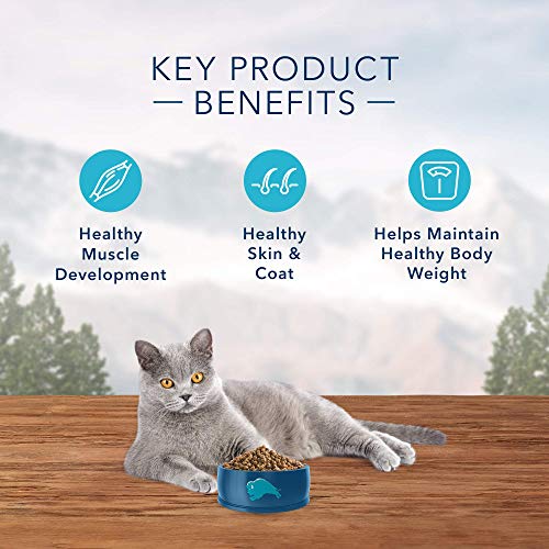 Blue Buffalo Wilderness High Protein, Natural Adult Indoor Dry Cat Food, Chicken 11-lb