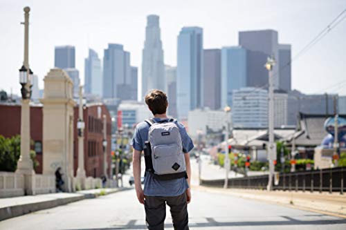 Dakine 365 Pack DLX 27L Backpack, Unisex, Travel and Laptop Bag - Gravity Grey