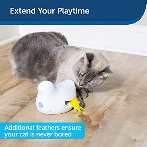Peek-A-Bird Cat Toy Replacement Feathers – 2 Pack Refill Parts – Interactive Teaser Toy for Indoor Cats All Breed Sizes