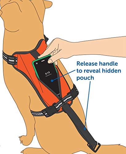 PetSafe Walk-Along Outdoor Dog Harness, No-Pull Solution, Water-Resistant, Zippered Pouch for Storage, Built-in Car Restraint, Medium
