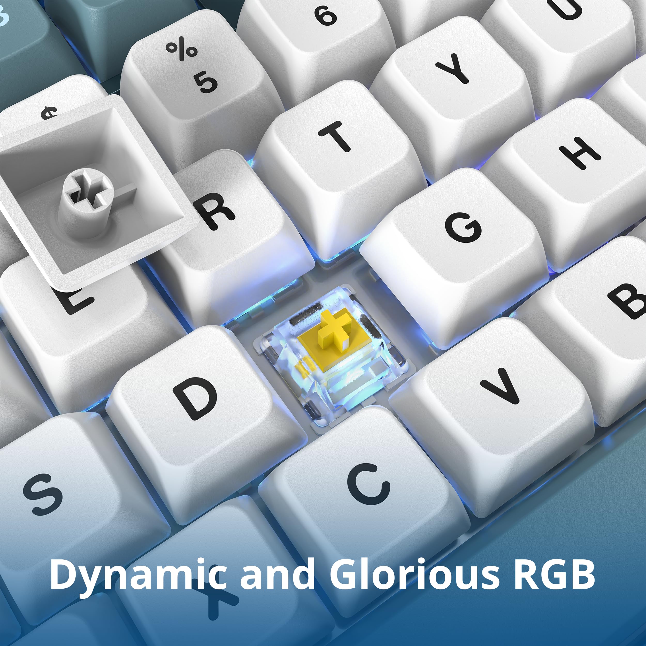 Montech MKey TKL Mechanical Gaming Keyboard: Customizable RGB LED, Premium MDA Profile PBT Keycap, Hot-Swappable Gateron G Yellow Pro 2.0 Pre-lubed Switches, Osaka Castle Theme, Freedom (MK87FY)