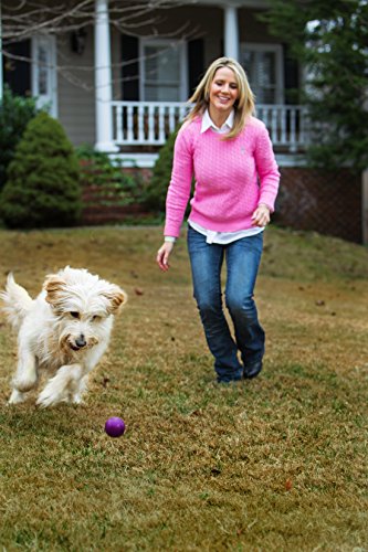 PetSafe Stay + Play Wireless Fence Receiver Collar