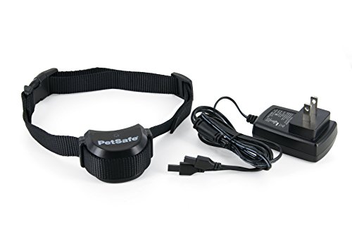 PetSafe Stay + Play Wireless Fence Receiver Collar