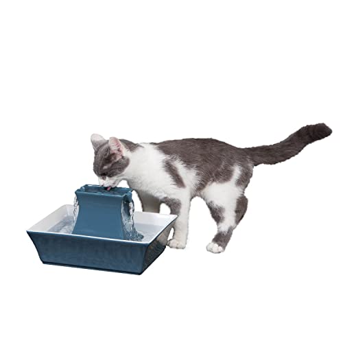 Drinkwell Pagoda Pet Fountain - From PetSafe in Knoxville, TN - Dog Water Bowl Dispenser - Multiple Angles to Drink From - Filters Included - Dog Fountain Provides Water When Powerâs Out - Blue