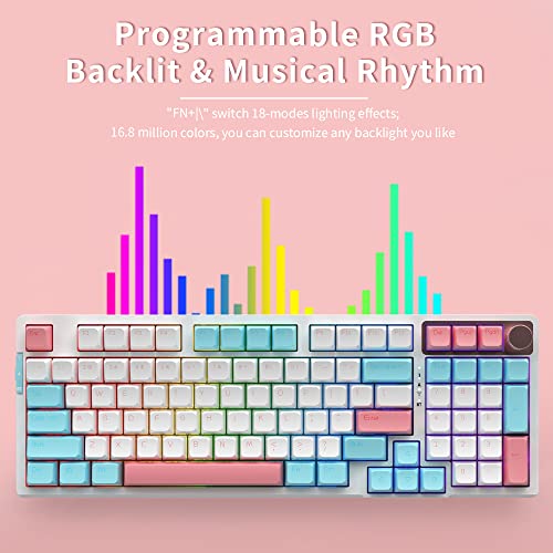 NACODEX AK966 96 Key Hot Swappable Gasket Mount Keyboard | Amazing 10000mAh Bluetooth /2.4G /Wired PC Gaming Custom Keyboard with Kailh MX Cream Switch | Knob Control | MDA PBT Keycaps