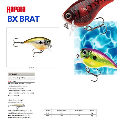 Rapala Balsa Xtreme Brat Hard Bait Lure, Freshwater, Size 03, 2" Length, 3' Depth, 3/8 oz, Homer's Buddy, Package of 1 (BXB03HOB)