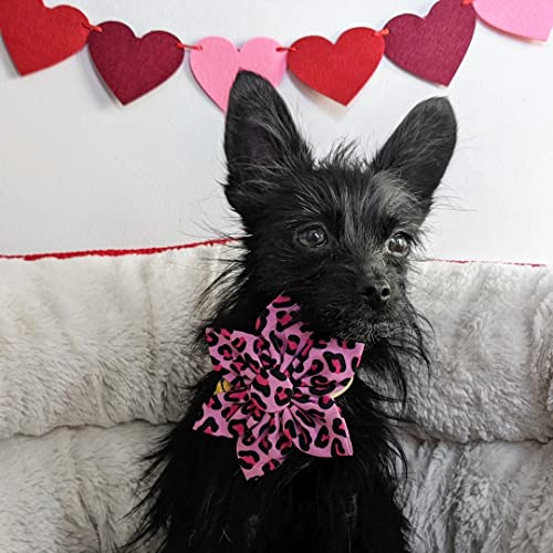 H&K Pet Pinwheel | Pink Leopard (Large) | Valentine's Day Velcro Collar Accessory for Dogs/Cats | Fun Pet Pinwheel Collar Attachment | Cute, Comfortable Pet Accessory