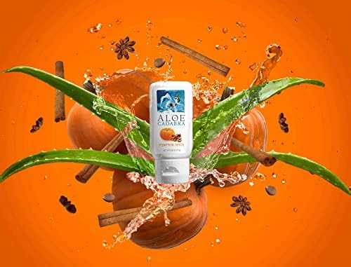 Aloe Cadabra Natural Personal Lube, Organic Best Lubricant Gel for Her, Him & Couples, Pumpkin Spice 2.5 Ounce (2.5 Ounce (Pack of 1))