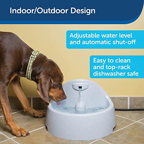PetSafe Drinkwell Everflow Indoor/Outdoor Dog and Cat Water Fountain, Pet Drinking Fountain, 192 oz. Water Capacity Gray