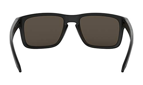 Oakley Holbrook Sunglasses (Matte Black Frame, Warm Grey Lens) with Lens Cleaning Kit and Country Flag Microbag