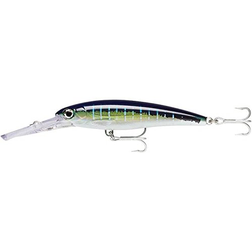Rapala XRMAG40SFU X-Rap Magnum 40,Sailfish UV