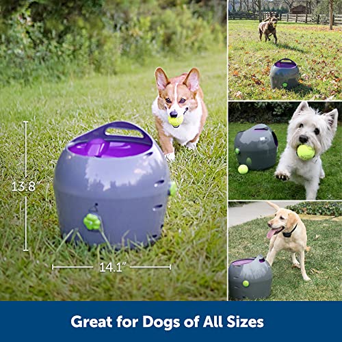 PetSafe Automatic Tennis Ball Launcher – Interactive Dog Ball Thrower – Adjustable Range – Motion Sensor – Indoor & Outdoor Toy – A/C Power or Batteries – Fetch Machine for Small to Large Dogs , Gray