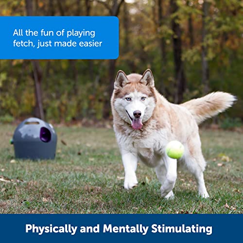 PetSafe Automatic Tennis Ball Launcher – Interactive Dog Ball Thrower – Adjustable Range – Motion Sensor – Indoor & Outdoor Toy – A/C Power or Batteries – Fetch Machine for Small to Large Dogs , Gray