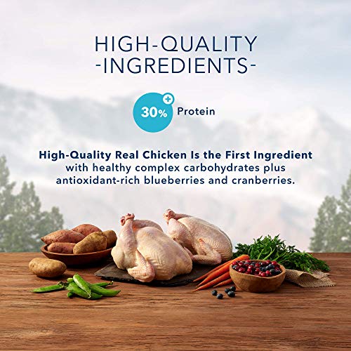 Blue Buffalo Wilderness High Protein, Natural Adult Dry Cat Food, Chicken 12-lb
