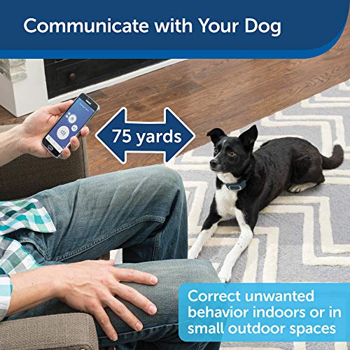 PetSafe SMART DOG Training Collar – Uses Smartphone as Handheld Remote Control – Tone, Vibration, 1-15 Levels of Static Stimulation – Bluetooth Wireless System – All in One Pet Training Solution