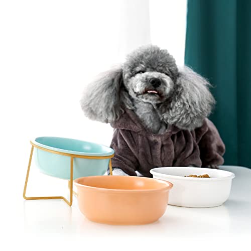 Balacoo 2pcs Container for Kitten Ceramic Pets Stress Care- Dog Gold Cervical Dispenser Iron Blue Dish Stand Use Slant Tilted Pet Dishes with Titled Puppy High Food Eating Free