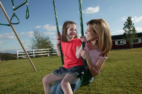 Lifetime 290038 Heavy Duty A-Frame Metal Swing Set, Earthtone