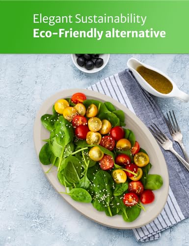 Teoox 100% Compostable Oval Plates Biodegradable Plates, BPI-Certified Eco Paper Plates, Bagasse Platter Plates, Recyclable Paper Plates, Sugarcane Plates (12.5 Inch - 40 Count)