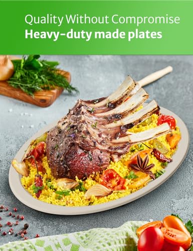 Teoox 100% Compostable Oval Plates Biodegradable Plates, BPI-Certified Eco Paper Plates, Bagasse Platter Plates, Recyclable Paper Plates, Sugarcane Plates (12.5 Inch - 40 Count)