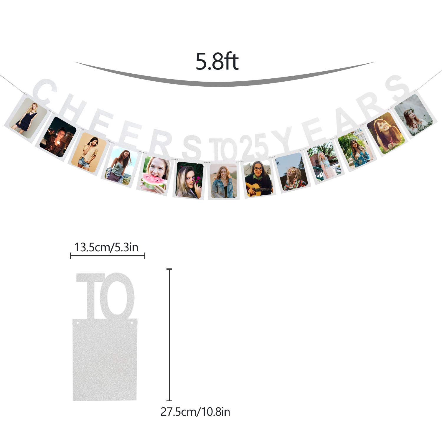 Cheers To 25 Years Photo Banner - Happy 25 Years Old Birthday 25th Anniversary Party Decoration Sign Silver