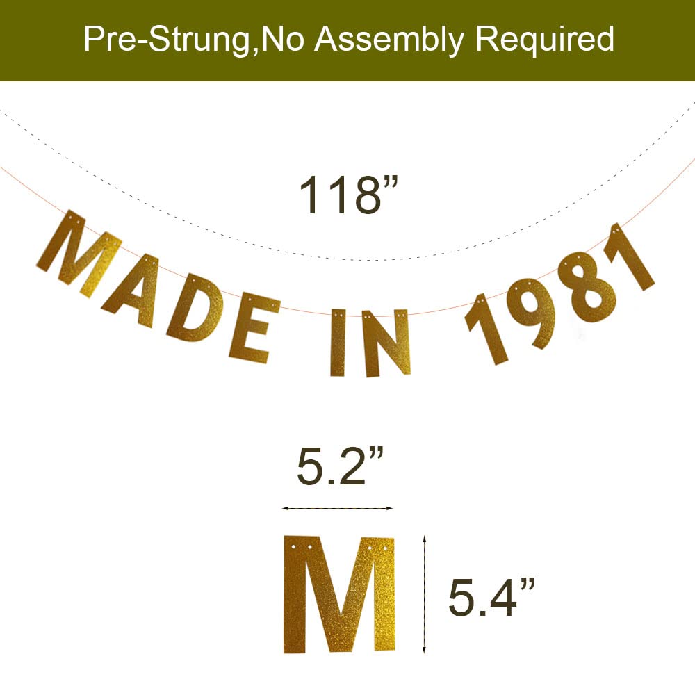 MADE IN 1981 Banner, Pre-Strung ,42ND Birthday Party Decorations Supplies, Gold Glitter Paper Garlands Backdrops, Letters Gold Betteryanzi