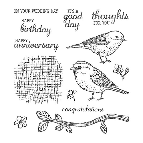 ZECNG Birds on Branches Clear Stamps Silicone Words for Card Making, Transparent Rubber Stamp and Die Sets for DIY Scrapbooking Decorate Photo Album Crafts