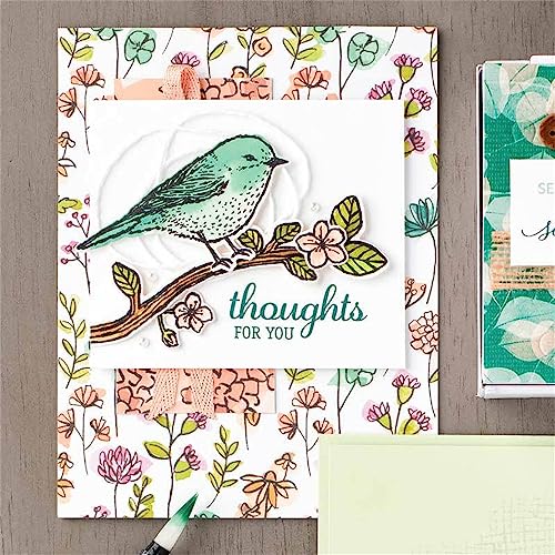 ZECNG Birds on Branches Clear Stamps Silicone Words for Card Making, Transparent Rubber Stamp and Die Sets for DIY Scrapbooking Decorate Photo Album Crafts