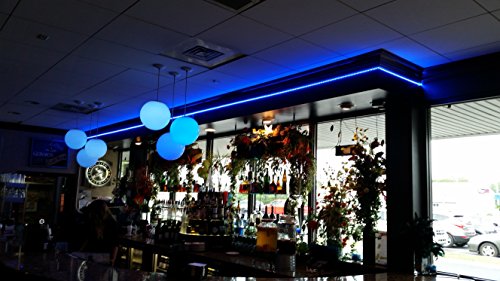 12V Magnitude 300W Multi-Output Class 2 LED Driver T300L12DC - Inspired LED