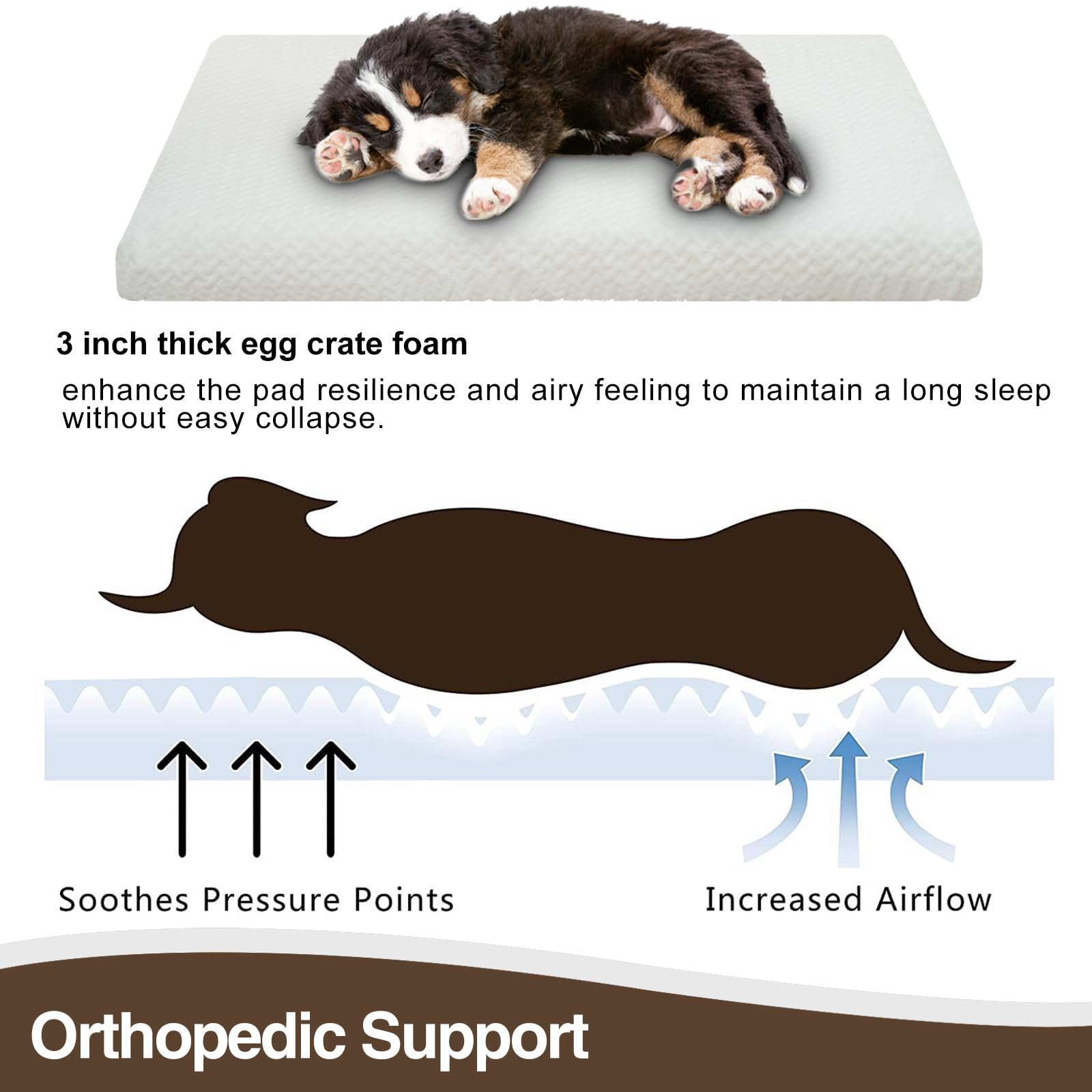 EMPSIGN Dog Bed Crate Pad for Small Dogs, Deluxe Fluffy Plush Machine Washable Dog Mat, Crate Pet Beds with Removable Cover, Dog Sleeping Mat Cushion Bed, 23"x 16"x3", White