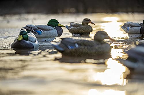Lifetime Decoys HydroFoam Flocked Mallard 6 Pack - Light as a feather - Lasts forever