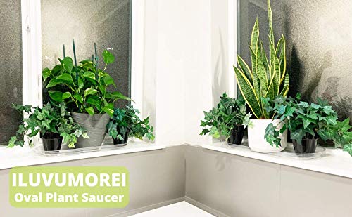 ILUVUMOREI Oval 2 Pack of 18 by 6.5 Inches Clear Plant Saucer, Thicker, Durable Flower Pot Planter for Indoors or Outdoors, Window Sills and Shelves (2 Pack - 18")