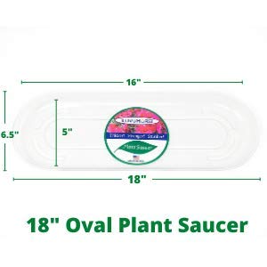 ILUVUMOREI Oval 2 Pack of 18 by 6.5 Inches Clear Plant Saucer, Thicker, Durable Flower Pot Planter for Indoors or Outdoors, Window Sills and Shelves (2 Pack - 18")