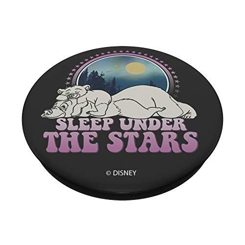 Disney Brother Bear Kenai And Koda Sleep Under The Stars