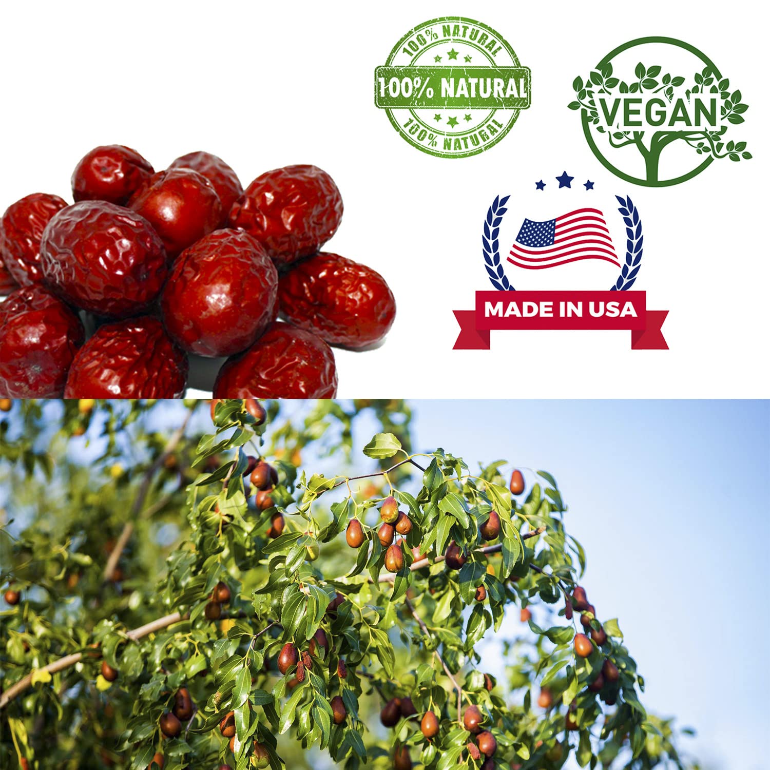 DABC OAK LAND Dried Dates, High Nutrition, High Vitamins, Red Dates, Snack Food, Dried Fruits, Sweet Red Jujube Packaged In USA.特级红枣 (2 Pound)