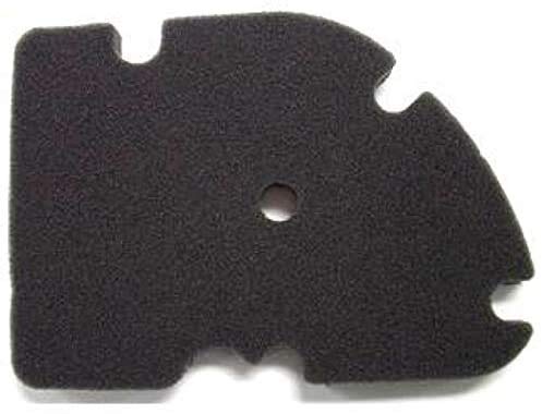 OEM Piaggio Premium Air Filter Sponge for Vespa: GT60, Granturismo 200, GTS 250/300(incl. ABS, HPE, Super Sport), Air Filter For Vespa: GTV 250/300(Sei Giorni incl.) Part# 831997, 8319970P