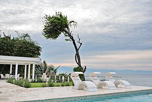 Ledge Lounger - Signature Chaise Deep - Inside Pool & Sun Shelf Lounge Chair - Designed for Deep Shelves 10”-15” - Compatible with All Pool Types - Poolside & Sun Deck Tanning - Set of 2 - White