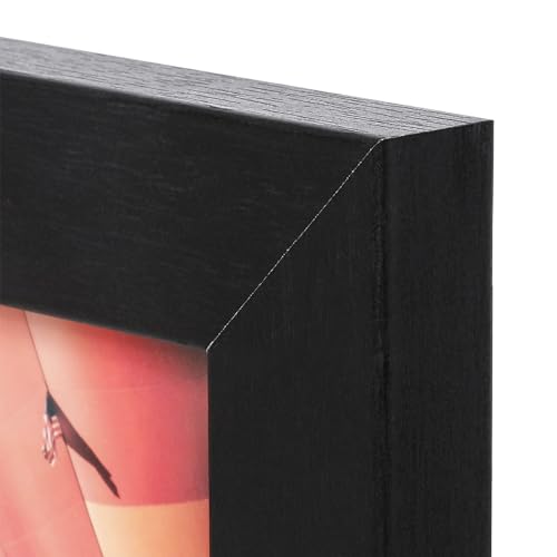 The Display Guys - Minimalist Wooden Picture Frame w. Tempered Glass - 18x24 matted to 12x18 - Wall Hanging - Black