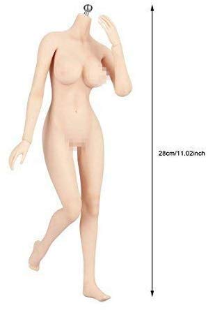 OBEST TBLeague Super-Flexible Female Pale Seamless Doll Body 1/6 Figure 28 Points of Artculation with Stainless Steel Skeleton(No - Head Sculpt Version and Clothes) (S07c)