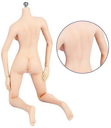 OBEST TBLeague Super-Flexible Female Pale Seamless Doll Body 1/6 Figure 28 Points of Artculation with Stainless Steel Skeleton(No - Head Sculpt Version and Clothes) (S07c)